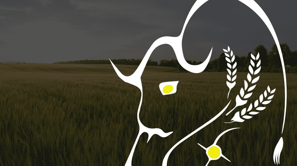 Buffalo Potash Corp | HLD Selective Solution Mining | SK